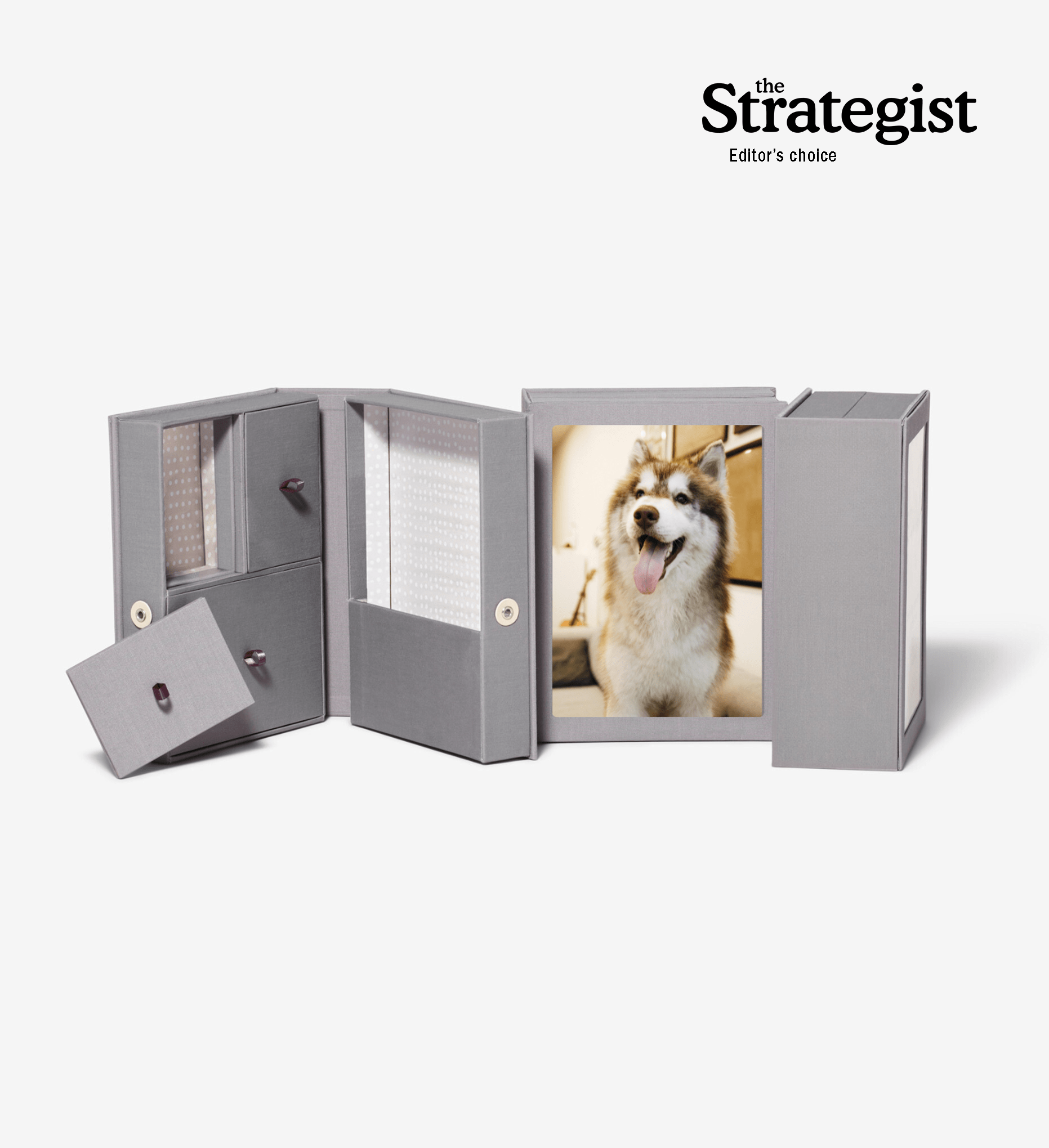 Pet Story Box: Frame & Keepsake in One – Savor